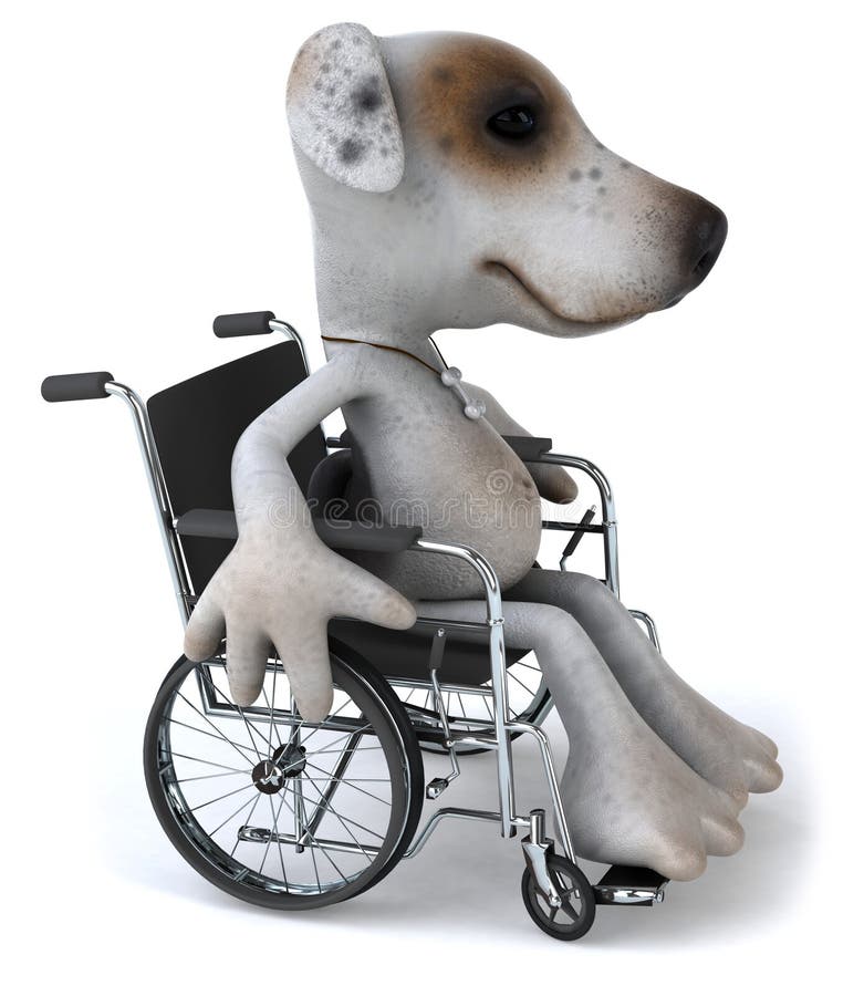 Behinderter Staffordshire-Bullterrier-Hund Im Rollstuhl Stockbild ...