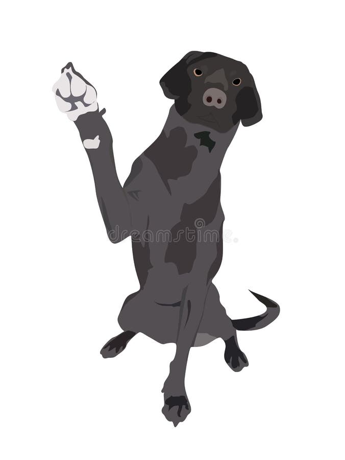 Hund Mit Den Tatzen in Einer Luft Stock Abbildung - Illustration von ...