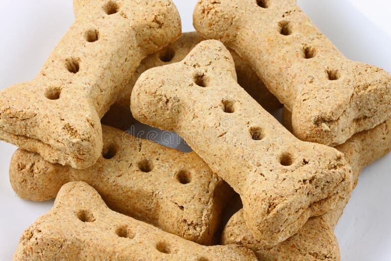 Stapel von Hundeknochen stockfoto. Bild von hintergrund - 66311916