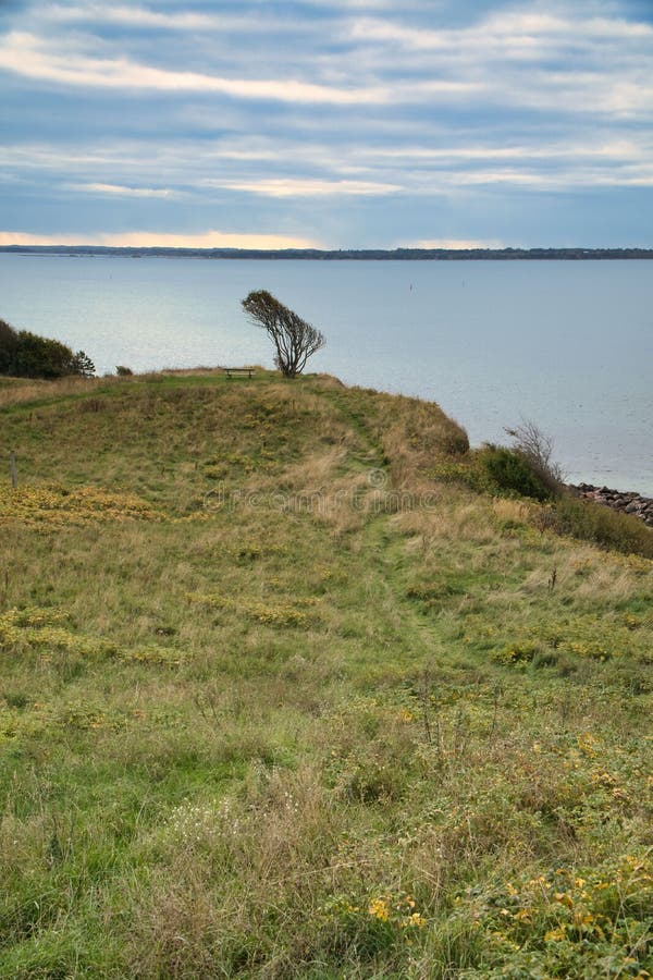 Hundested, Denmark on the Cliff Overlooking the Sea with Tree on the ...
