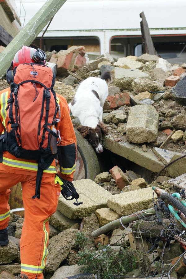 Hundimiento Constructivo, Zona De Desastre Imagen de archivo editorial ...