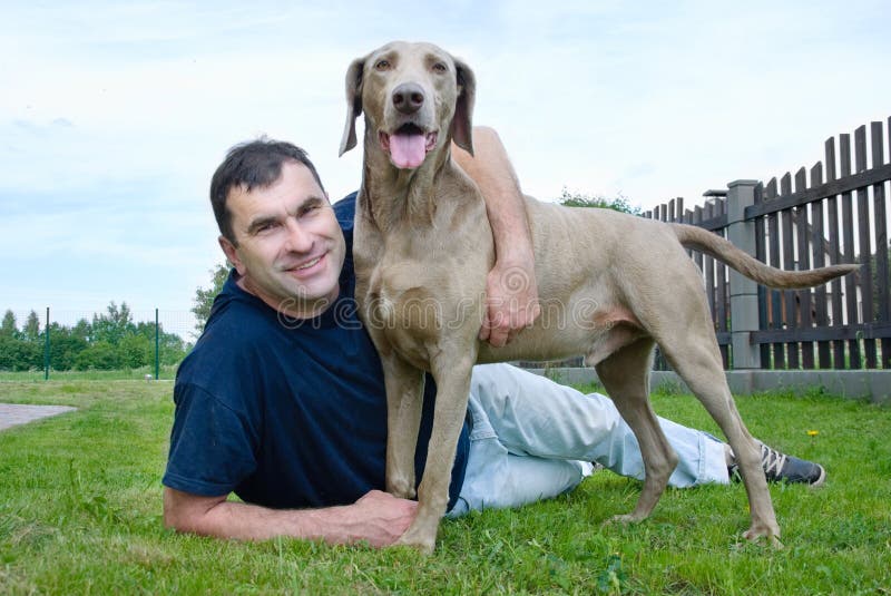 Hundman arkivfoto. Bild av stirra, lydigt, hemhjälp, hund - 19790752