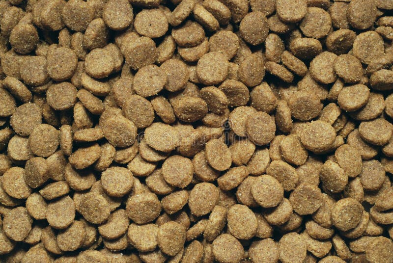 Hundmat fotografering för bildbyråer. Bild av stapel, hörntand - 4502393