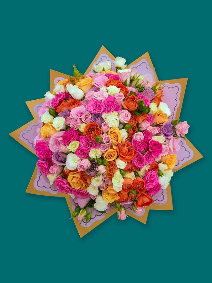 Hundred Colorful Roses in Bloom a Vibrant Statement of Love in Colors ...