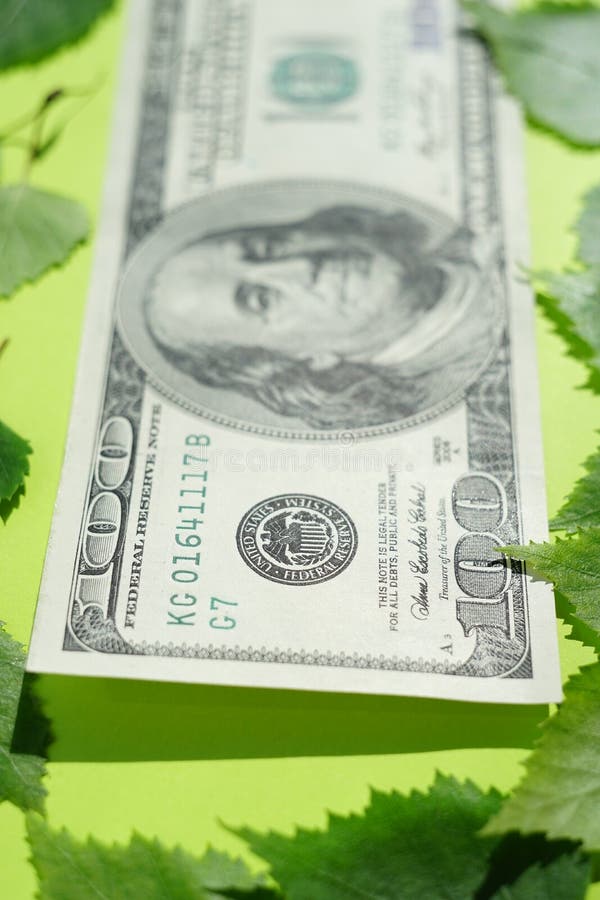 Hundred Dollar Bill and Green Leaves on the Sunny Table Stock Photo ...