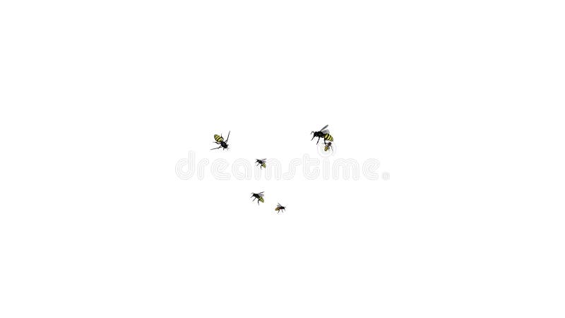 Hundreds of Bees Flying Around Creating a Swarm Loop Green Screen ...