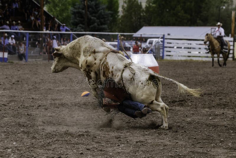 Rodeo Bull Riding editorial photography. Image of fiesta - 46478772