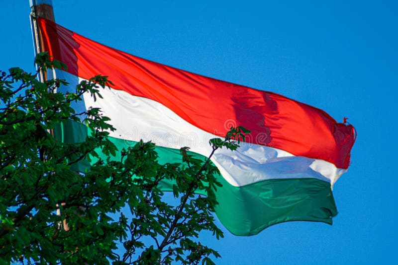 Hungarian Flag in the Buda Castle Stock Photo - Image of clothing ...