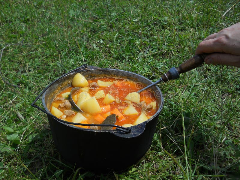 Hungarian gulyas stock image. Image of nutrition, natural - 88257957