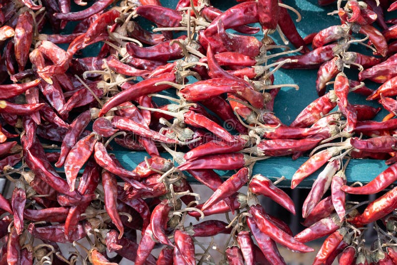 Hungarian Red Peppers at the Market Stock Image - Image of chili, fresh ...