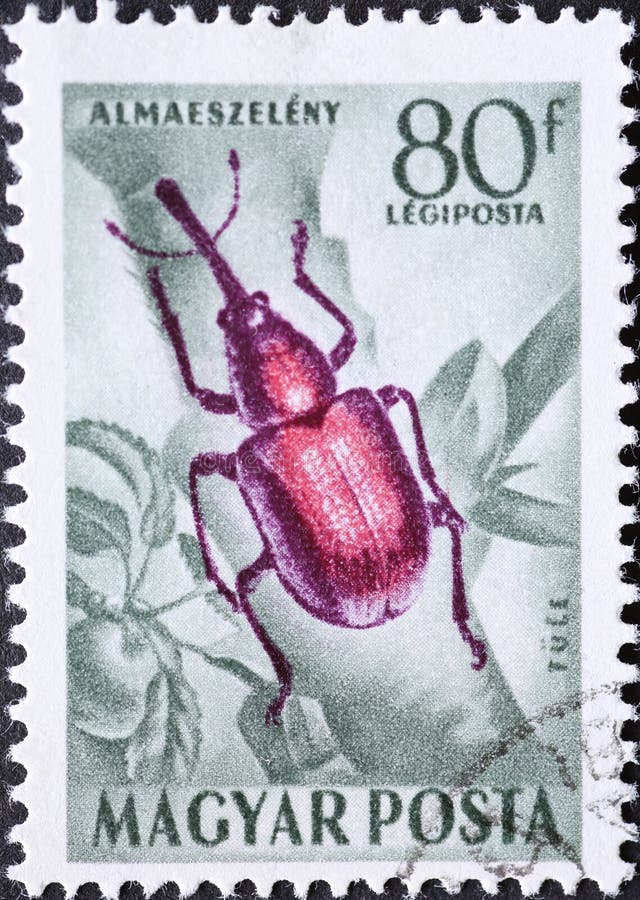Hungary Circa 1954: a Post Stamp Printed in Hungary Showing the Insect ...