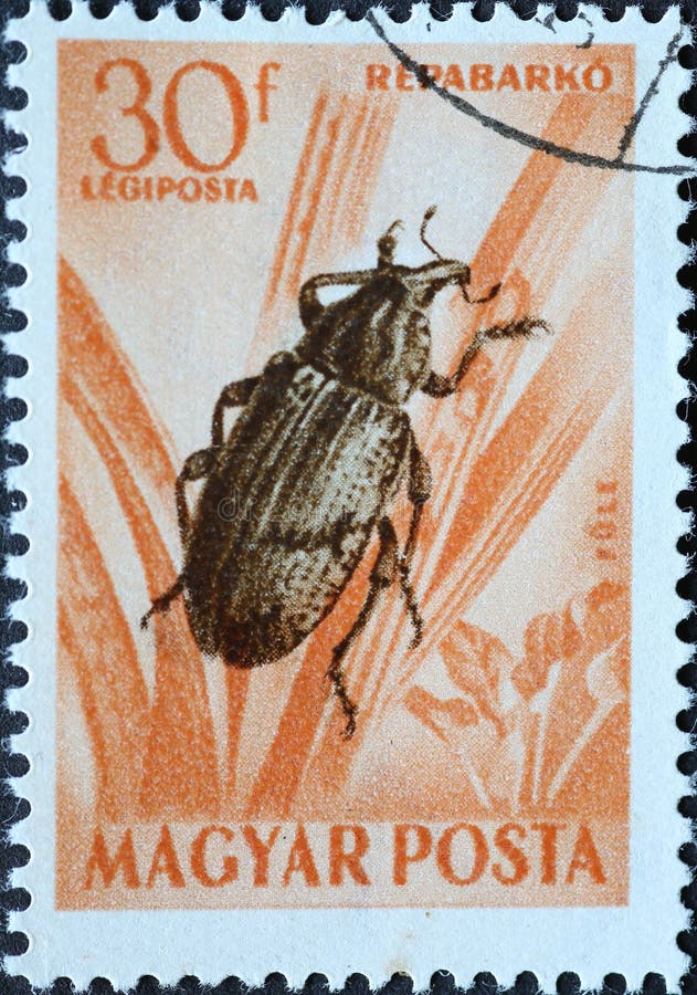 Hungary Circa 1954: a Post Stamp Printed in Hungary Showing the Insect ...