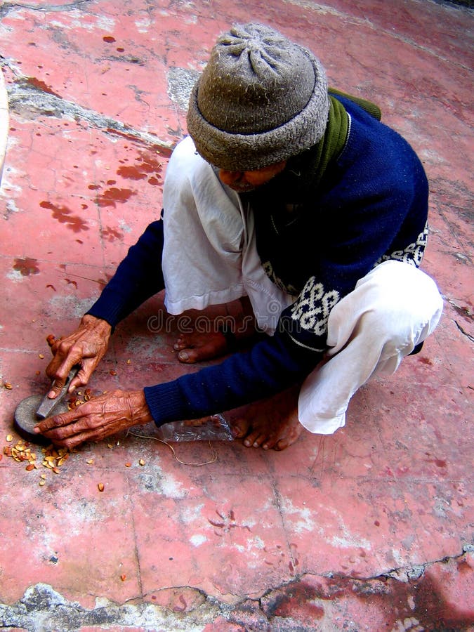 Hungry Poor Girl stock photo. Image of shappy, dirty - 21804026
