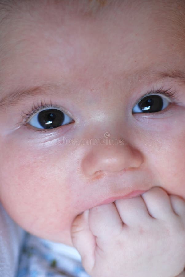 Hungry baby stock photo. Image of little, male, skin, sweet - 1939658