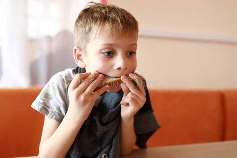 Hungry boy eating bread stock photo. Image of healthy - 235171282