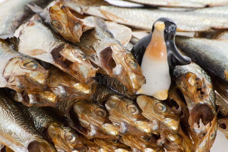 Hungry Penguin and Smoked Sprats. Stock Photo - Image of sprotten ...