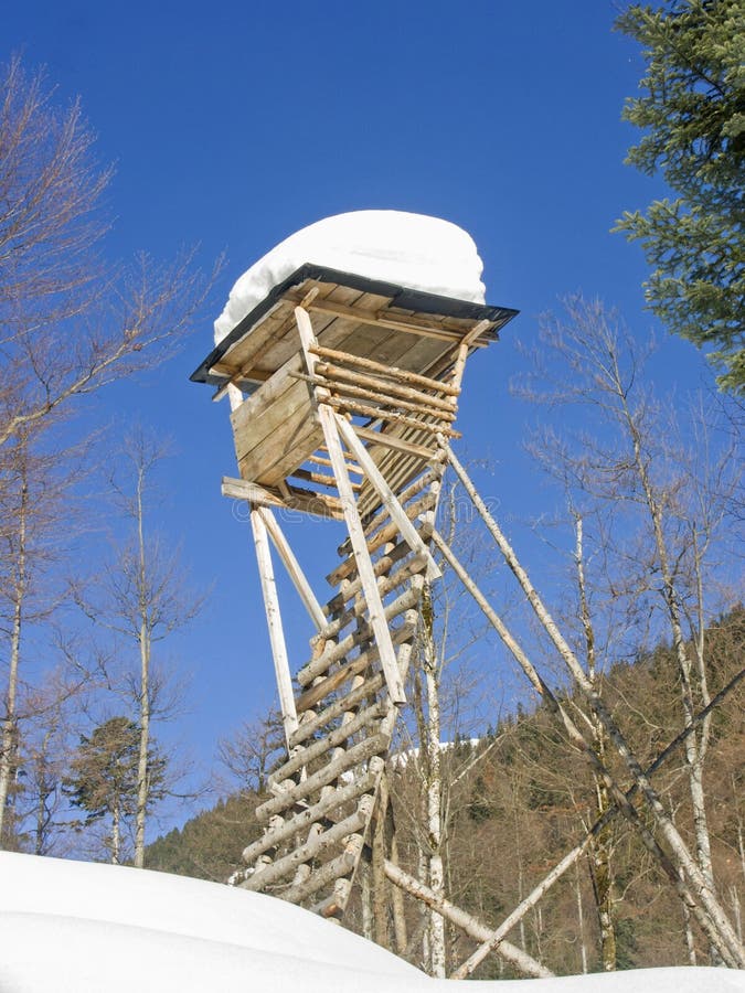 Heavy snow load stock image. Image of nature, cover, leisure - 19583755