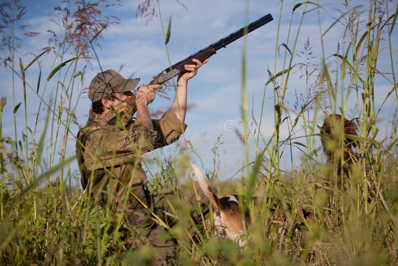 Hunter Aiming the Hunt, Dogs Waiting for the Shot Stock Photo - Image ...