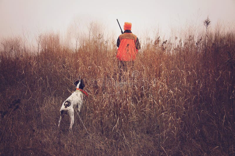 Pheasant Hunter and Bird Dog in Field Stock Image - Image of pheasant ...