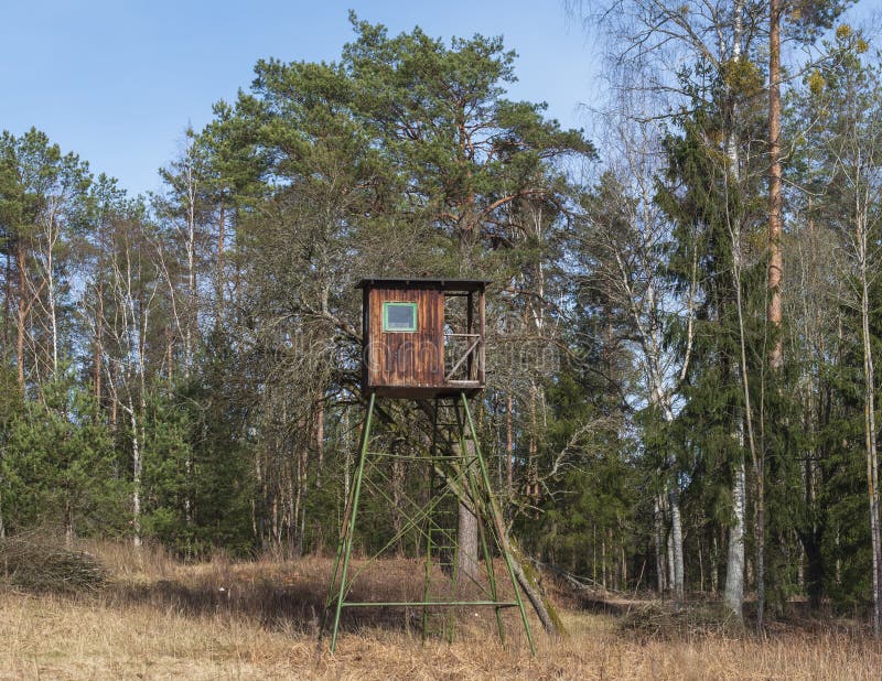 Hunter box in forest stock photo. Image of deer, background - 176177636