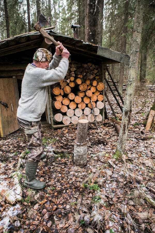 Man Chopping Wood in the Forest. Stock Photo - Image of shirt, worker ...