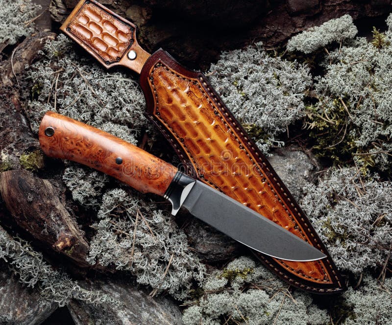 Hunter Combat Hand Made Knife with Case on a Moss in Forest. Top View ...