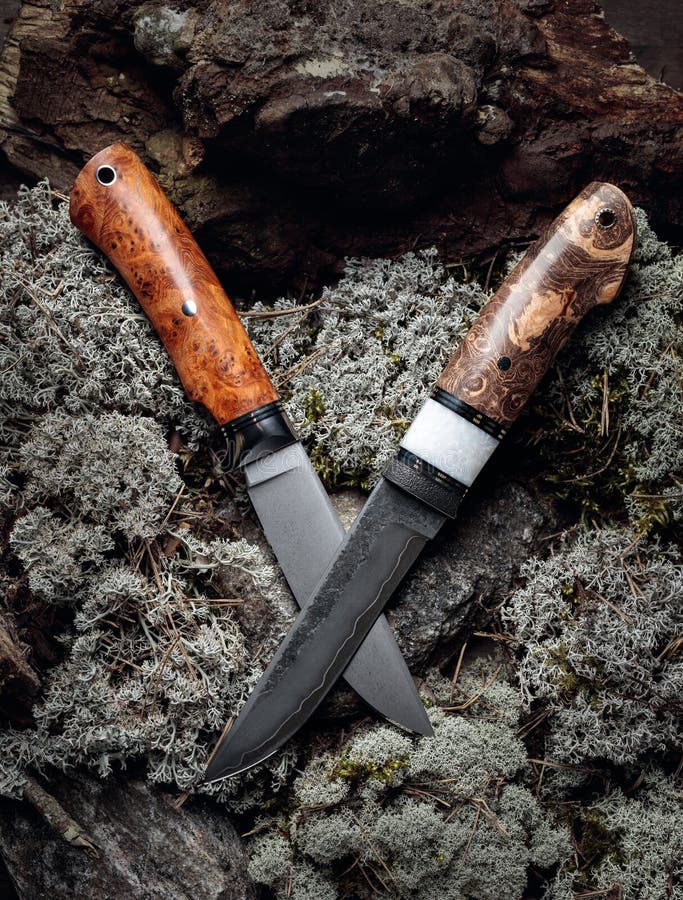 Moss Etching On A Manitoba Black Poplar Stock Photo - Image of ...