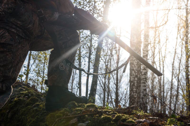 Hunter in the Forest in Sunny Weather. Stock Image - Image of green ...