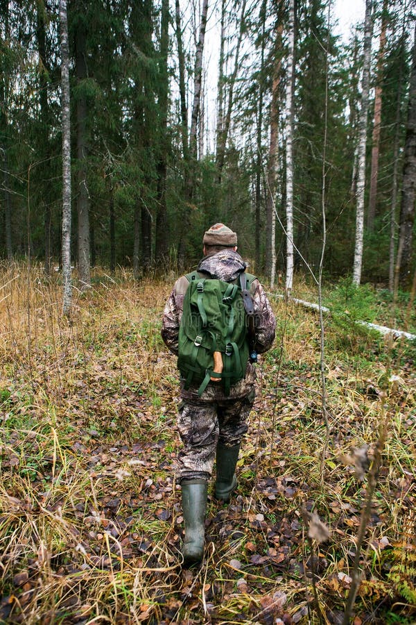 Hunter Goes through the Forest Stock Photo - Image of gumboots, pursuit ...