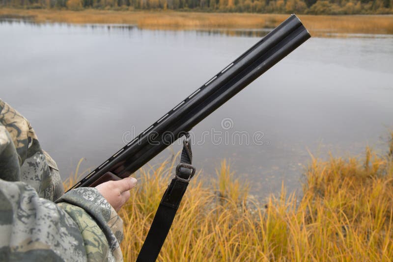 Hunter with a Gun . Autumn Duck Hunting Stock Photo - Image of forest ...