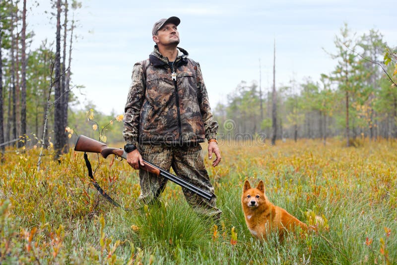 Hunting dog and a duck stock photo. Image of bird, hunting - 27660858