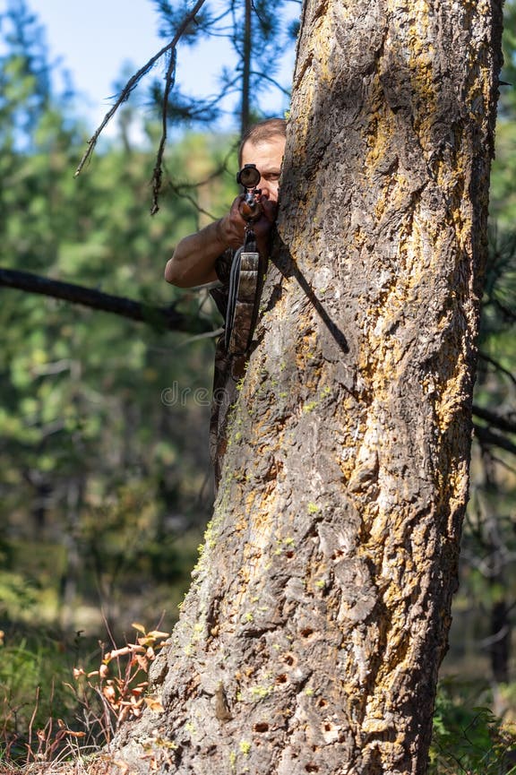 Front View of Hunter Shooting Rifle Behind Large Tree. Stock Photo ...