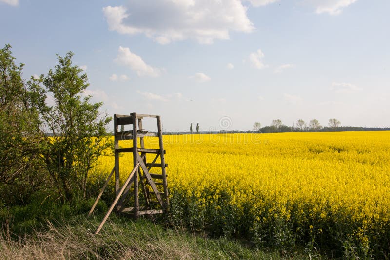 High level look-out stock photo. Image of telescope, perspective - 398968
