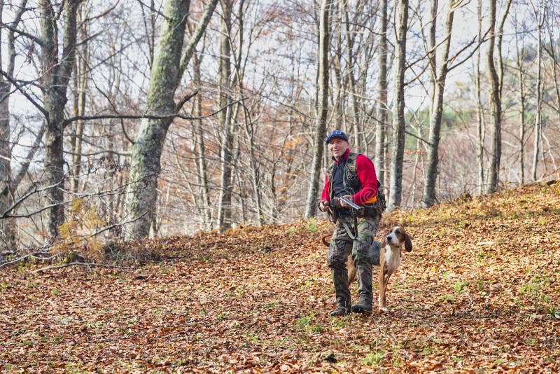 Hunter and Hunting Dog Chasing in the Forest Stock Photo - Image of ...