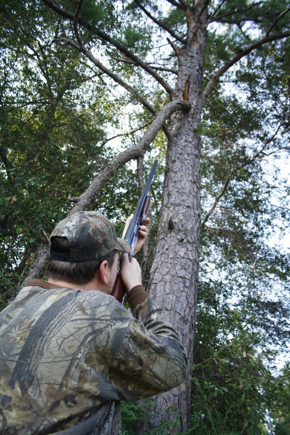 Hunter - Hunting - Sportsman Stock Image - Image of deer, turkey: 680525