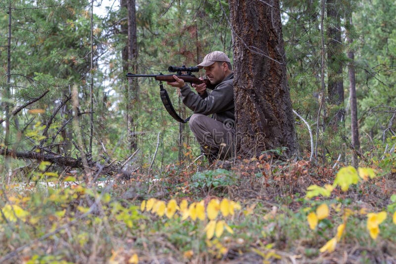 Hunter Kneeling Behind Tree, Aiming Rifle Stock Image - Image of ...
