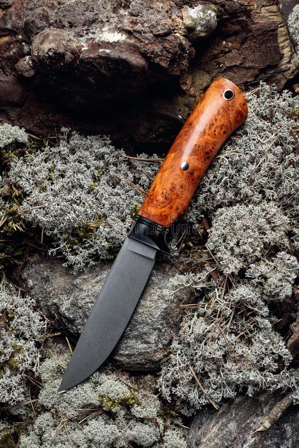 Hunter Knife on a Moss in Forest Stock Image - Image of edge, danger ...