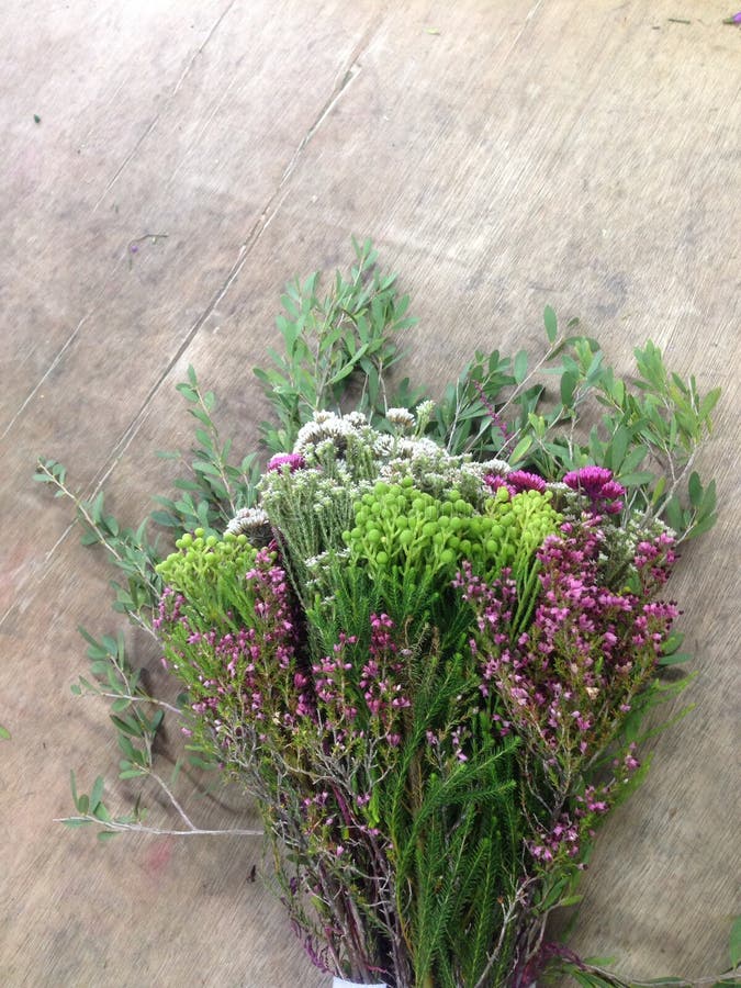 Hunter mix flowers bundle stock image. Image of arrangement - 124677625