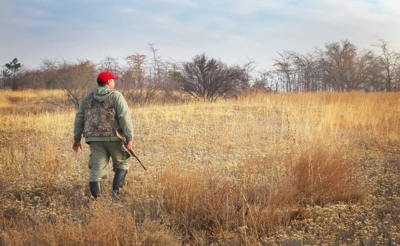 Hunter Moving with Shotgun Looking for Prey. Stock Photo - Image of ...