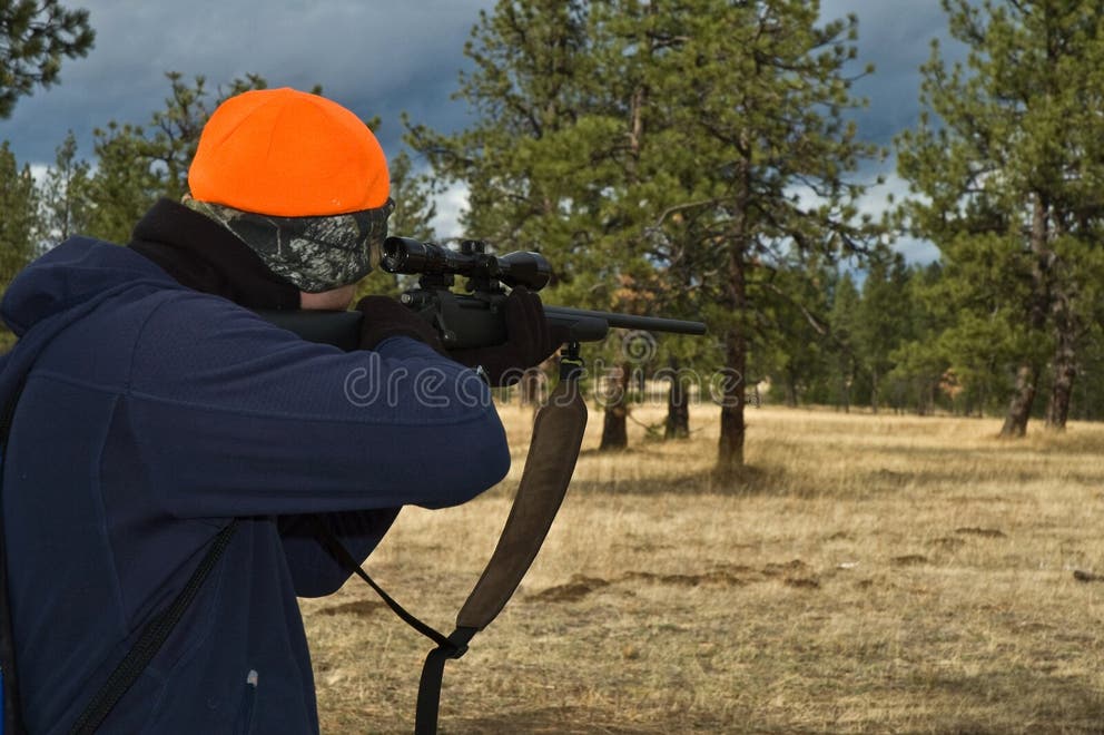 Hunter Pointing Rifle into Woods Stock Image - Image of point, alone ...
