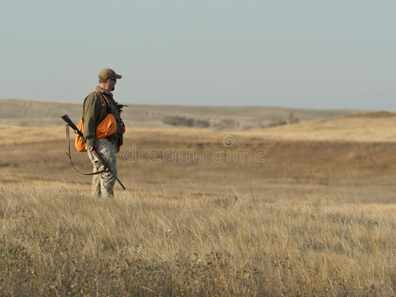 Hunter with His Dog in the Early Morning Stock Photo - Image of ...
