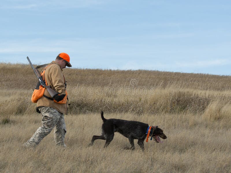 Hunter with His Dog in the Early Morning Stock Photo - Image of ...