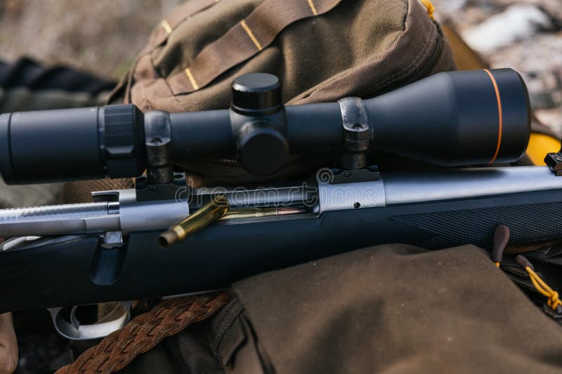 Hunter Preparing Rifle for Hunting with Bullets in Rifle Action Stock ...