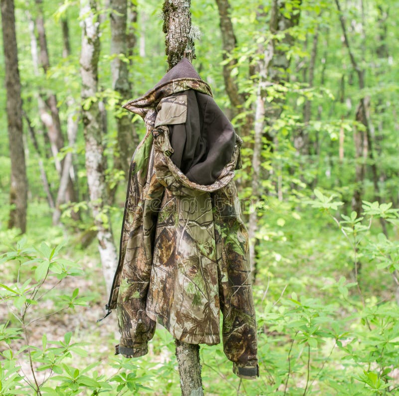 Bow hunter in tree stock image. Image of extreme, handsome - 8639823