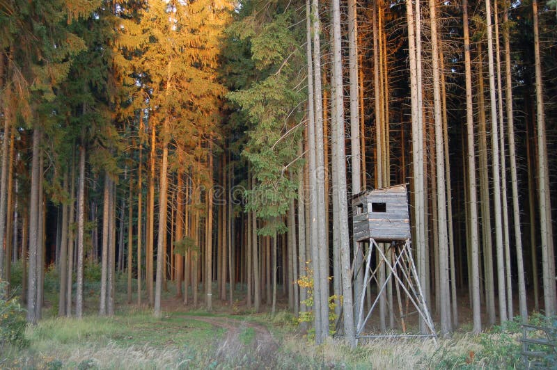 Hunter s hut stock photo. Image of deep, high, country - 3401292