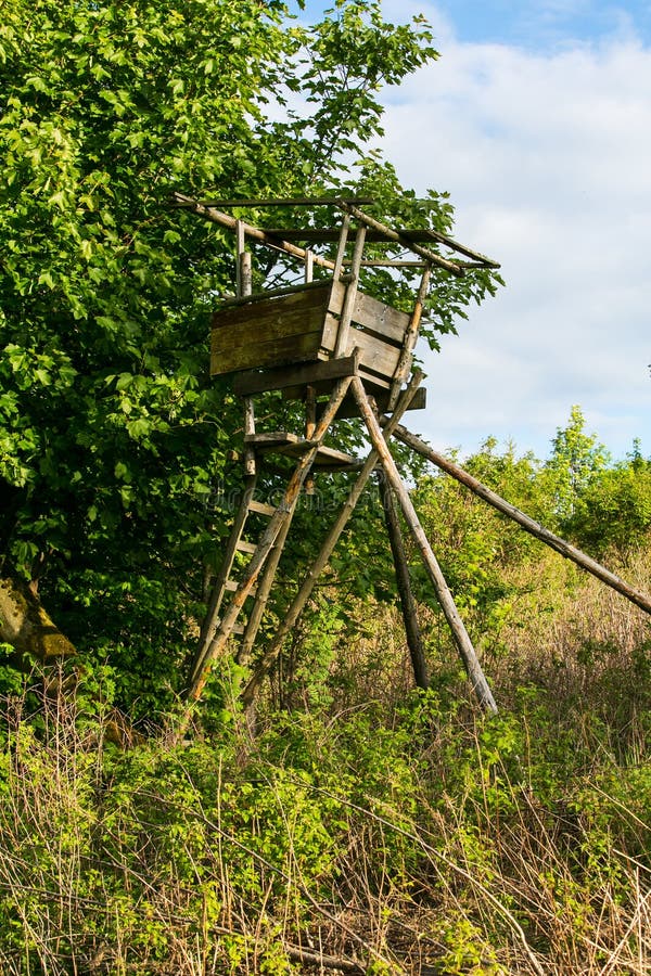 Hunterâ€™s Seat Outdoors Next Tor Trees Stock Image - Image of tree ...