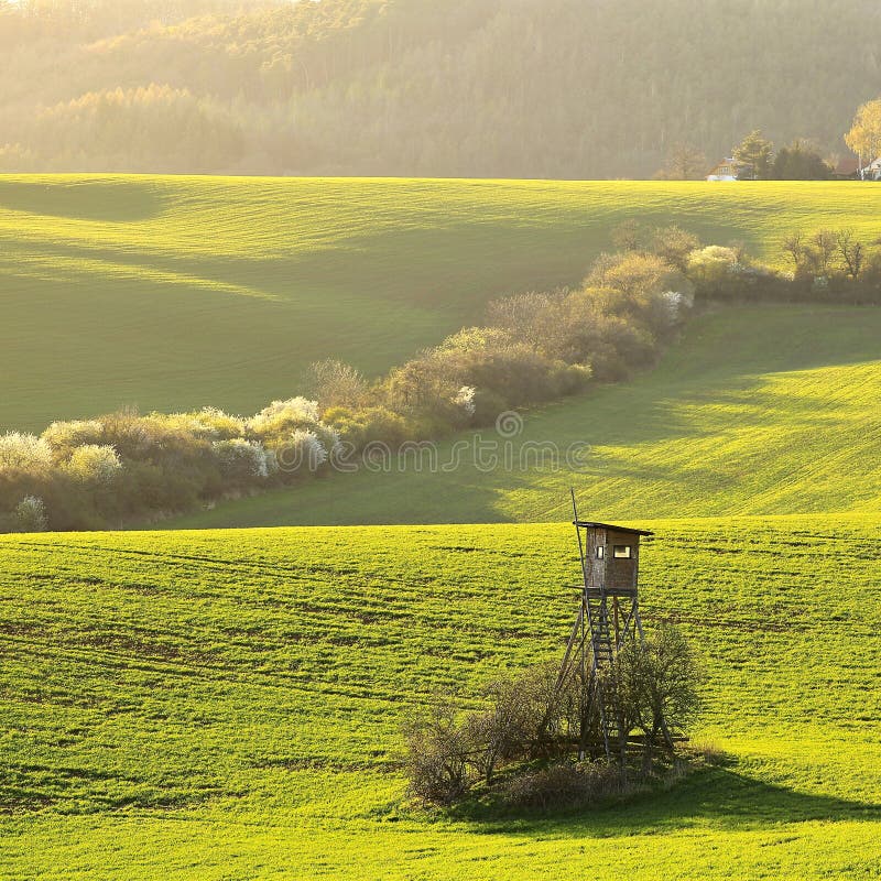 Hunter`s Sitting in the Foreground Landscape of Fields Stock Photo ...