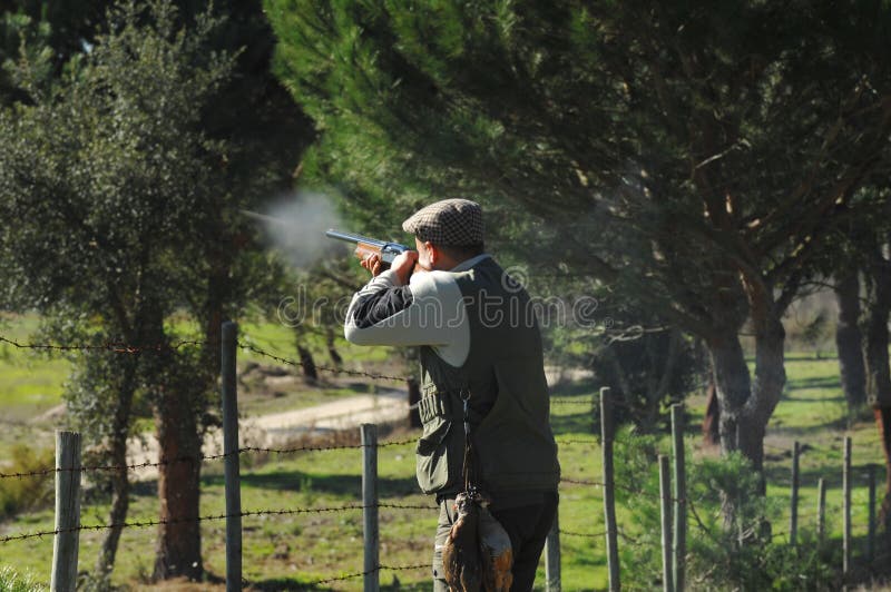 Hunter shooting stock photo. Image of caliber, sport, carbine - 5231914