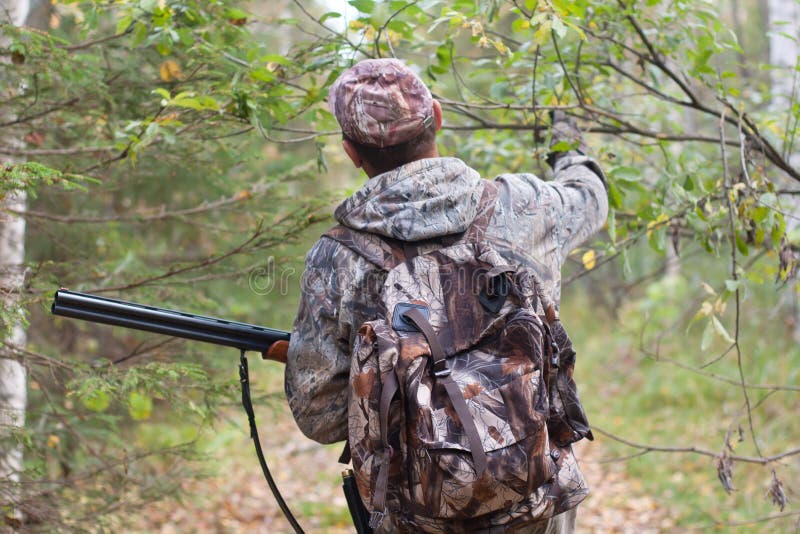 Hunter with Shotgun in the Forest Stock Image - Image of activity ...