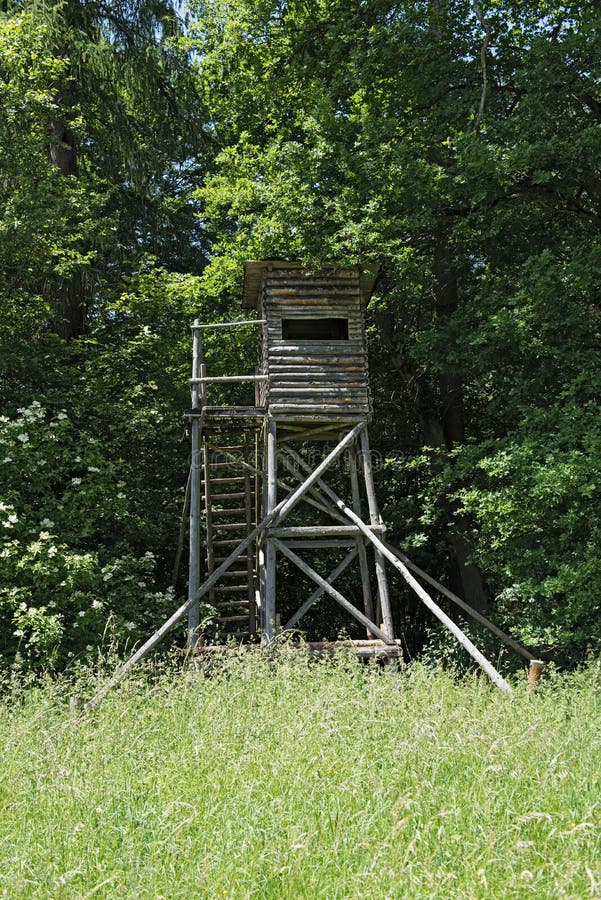 Hunter Stand in Green Summer Forest, Germany Stock Photo - Image of ...